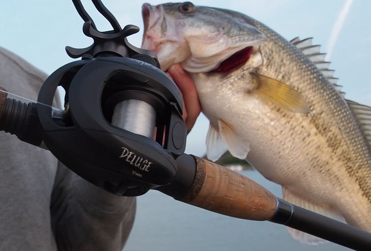 Sixgill Overview | Deluge Baitcasting Series – Sixgill Fishing Products